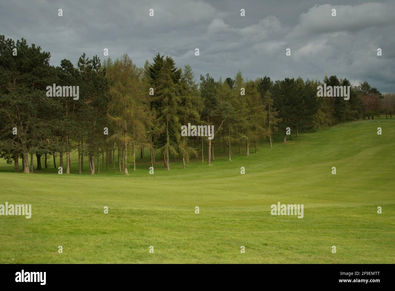 Views of Hertfordshire landscapes in colour in the springtime which ...
