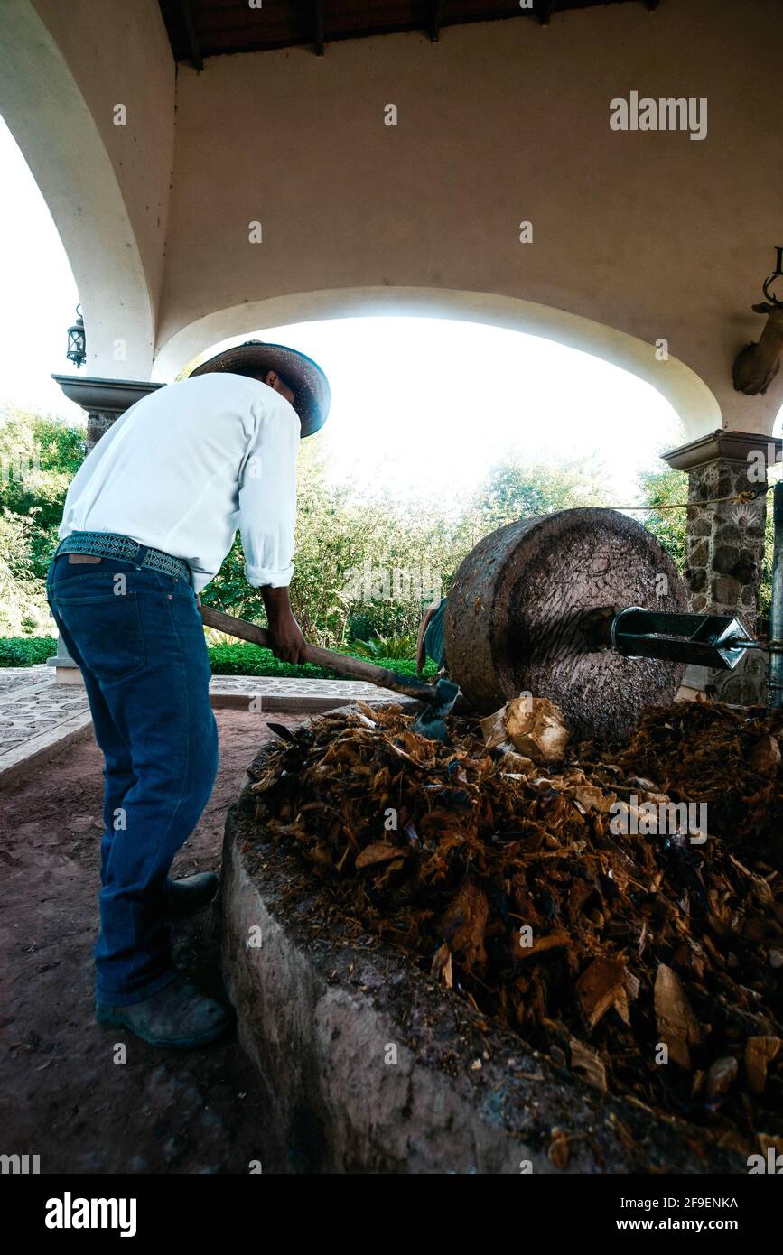 A man working on agave distillation process for tequila production ...