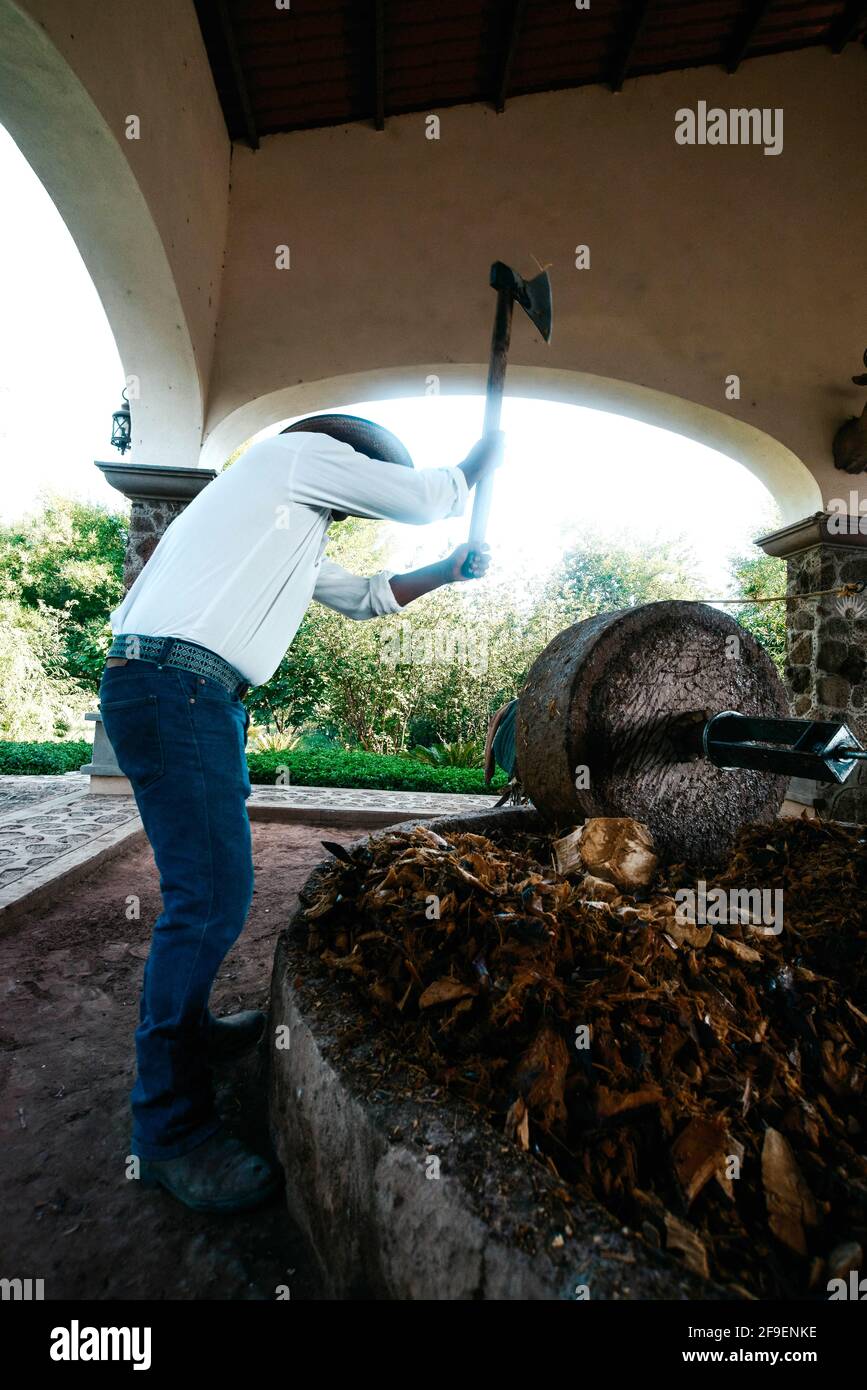 A man working on agave distillation process for tequila production ...