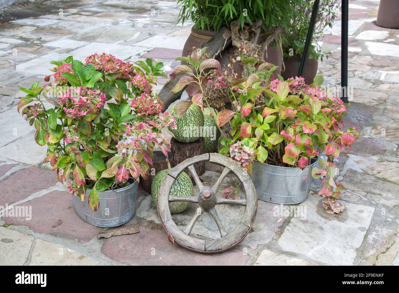 Cart wheel plants pumpkins hi-res stock photography and images - Alamy