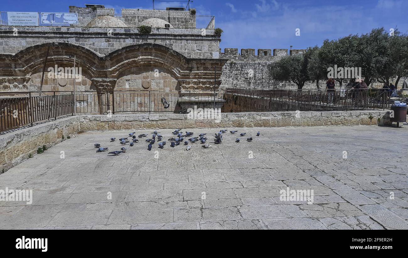 Al-Aqsa Mosque compound during on friday in Ramadan month Stock Photo ...