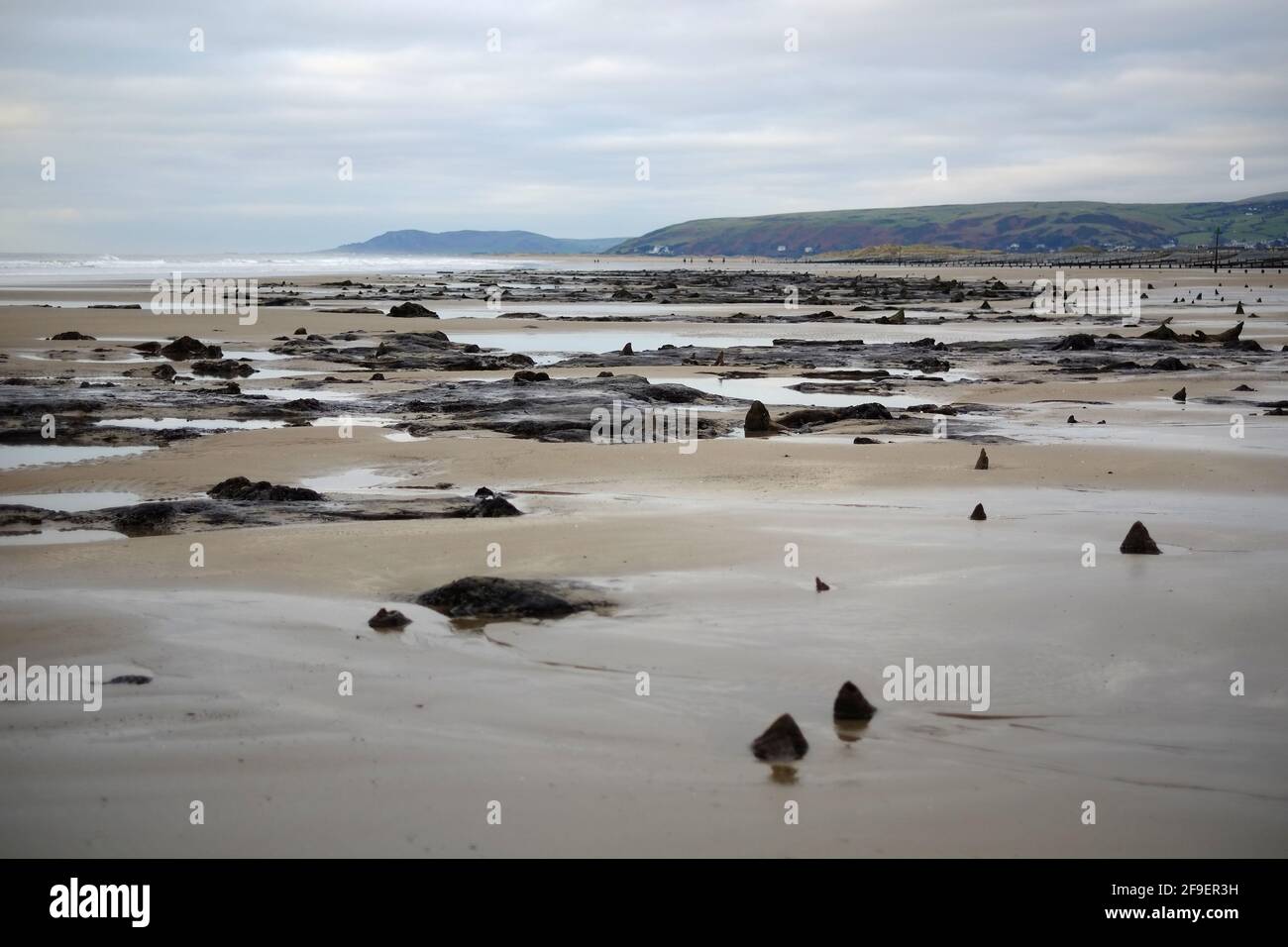 Submerged prehistoric forest, Borth, Wales revealed by stormy seas ...