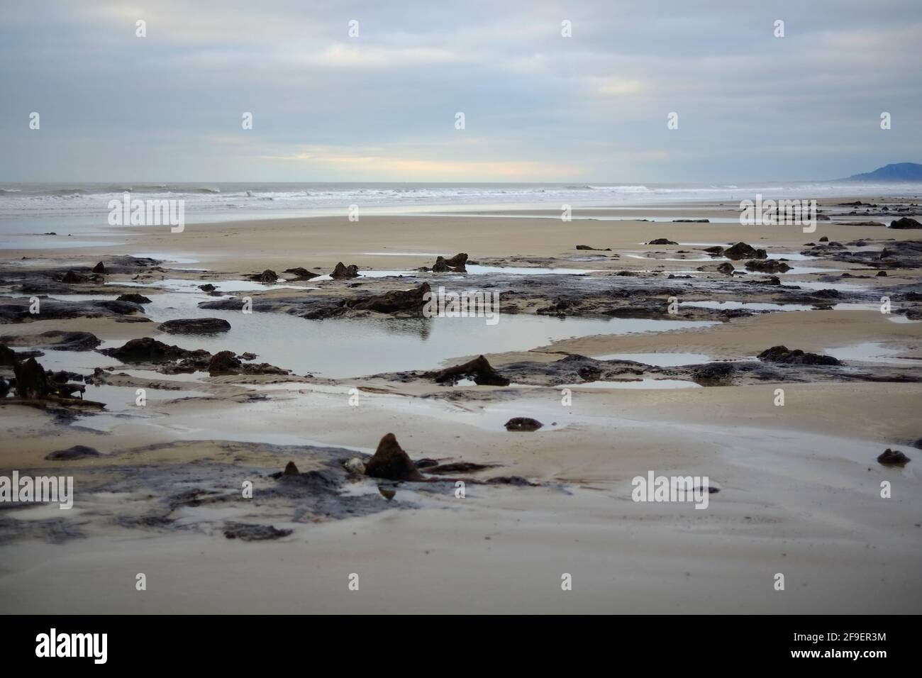 Submerged prehistoric forest, Borth, Wales revealed by stormy seas ...
