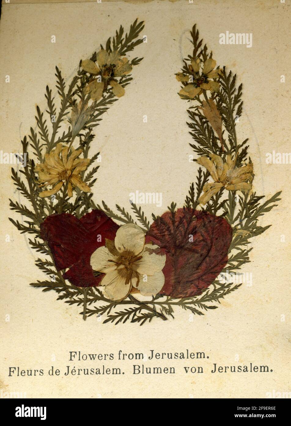 Souvenir album ^ ^^ hi-res stock photography and images - Alamy