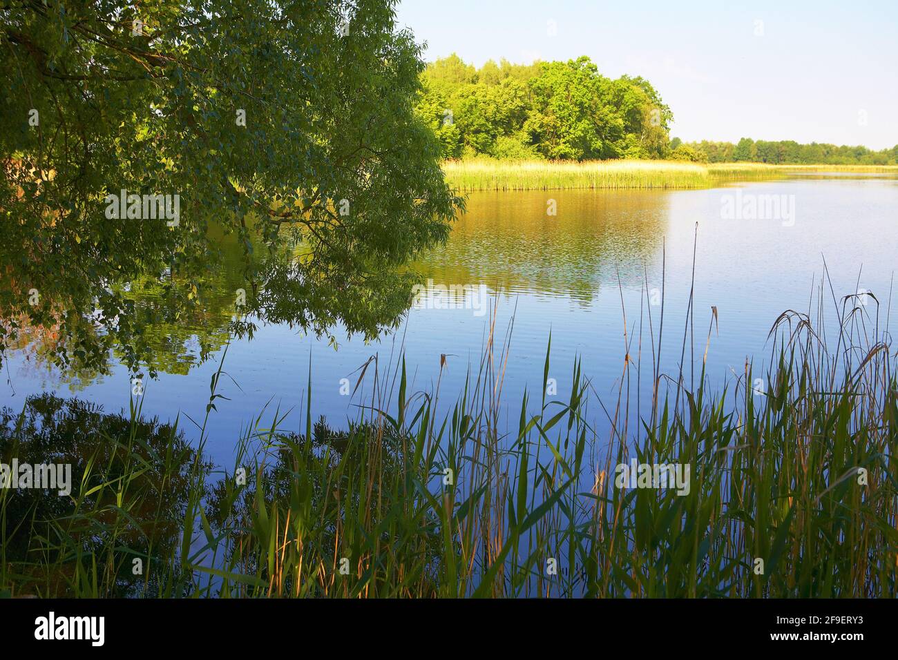 Milicz ponds hi-res stock photography and images - Alamy