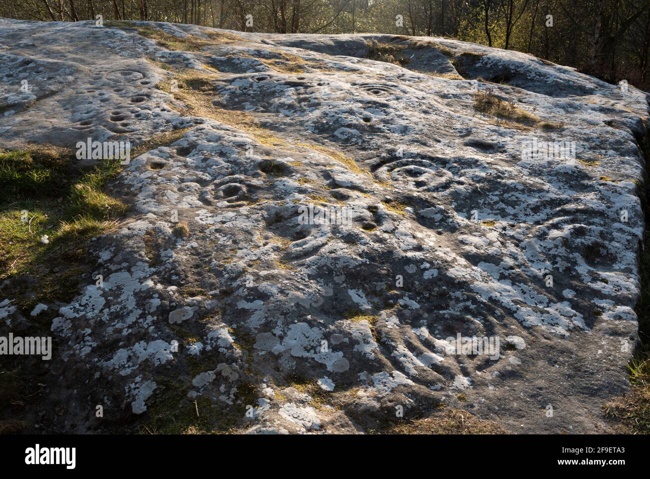 Roughtin hi-res stock photography and images - Alamy