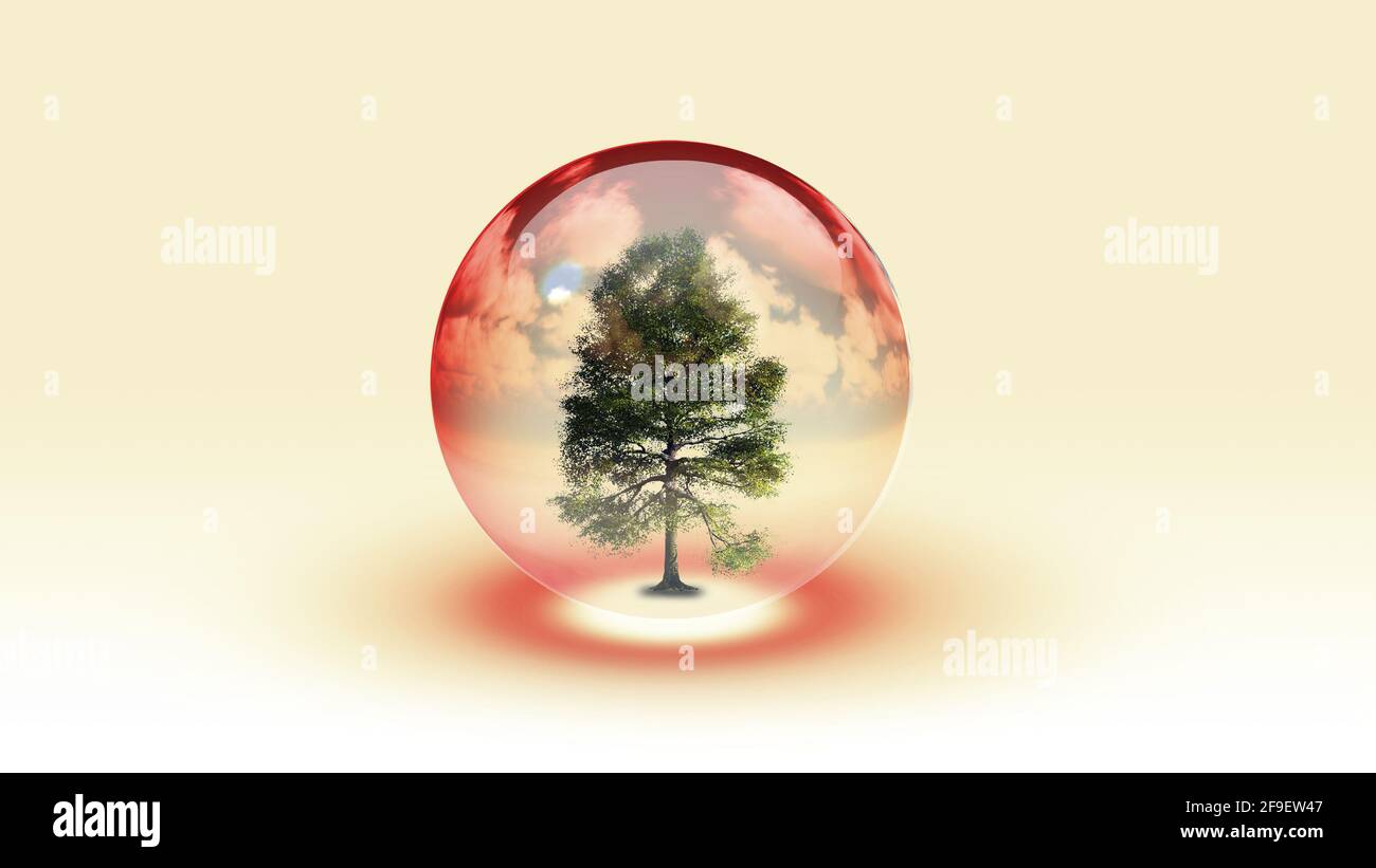 Tree inside bubble. 3d rendering Stock Photo - Alamy
