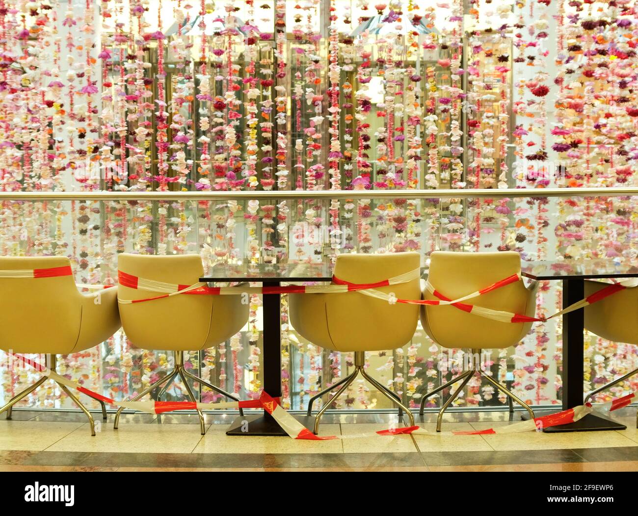 Paled restaurant terrace hi-res stock photography and images - Alamy