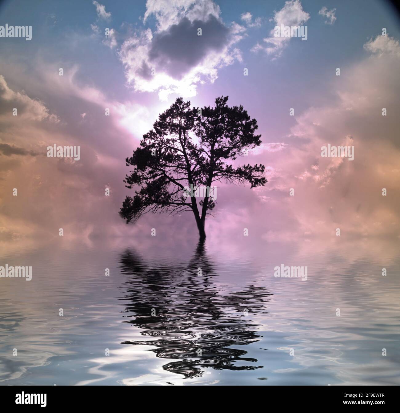 Ethereal landscape. Tree in rays of sunlight. 3D rendering Stock Photo ...