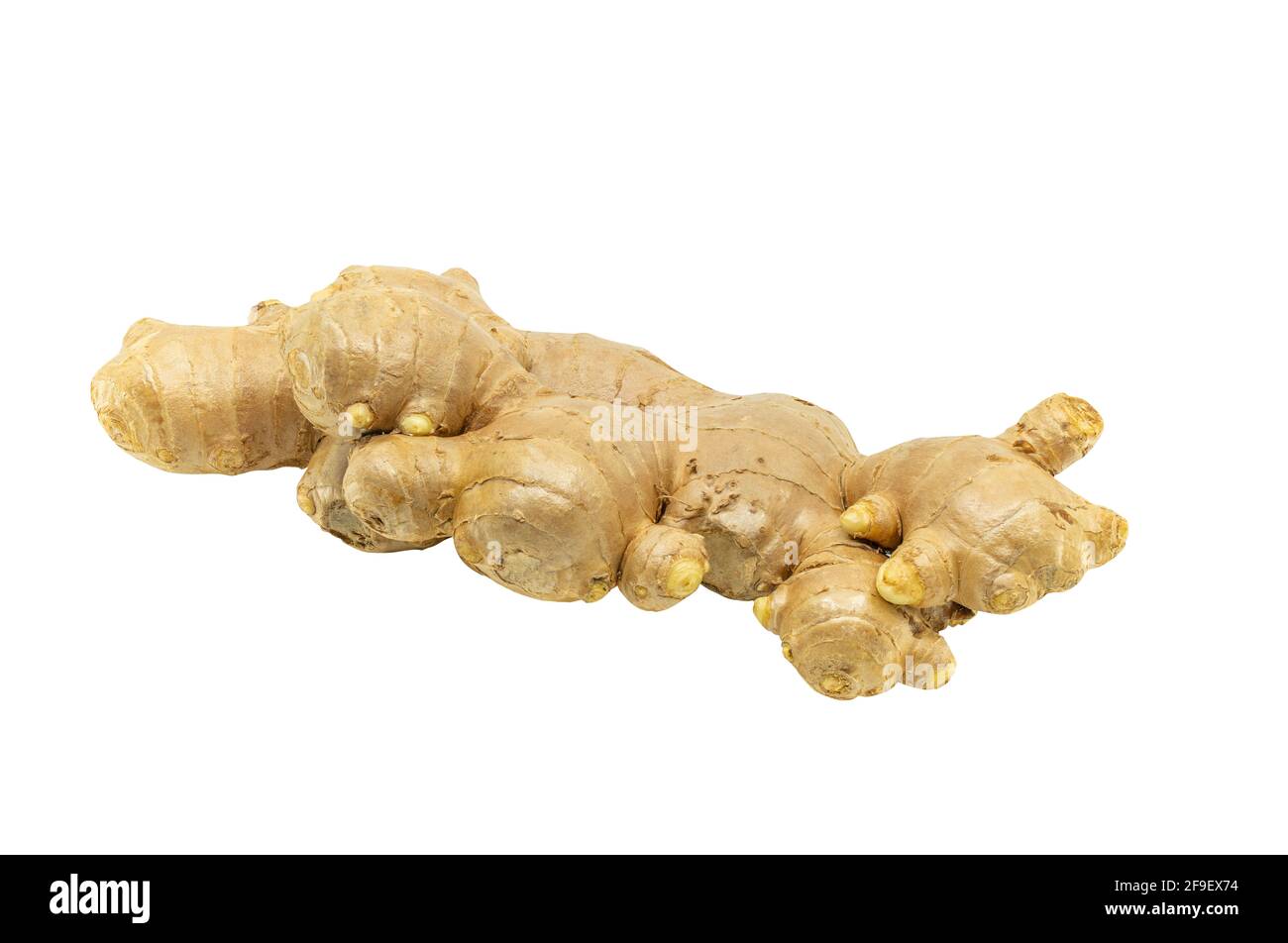 Old ginger, isolated a big brunch of whole fresh ginger on white ...