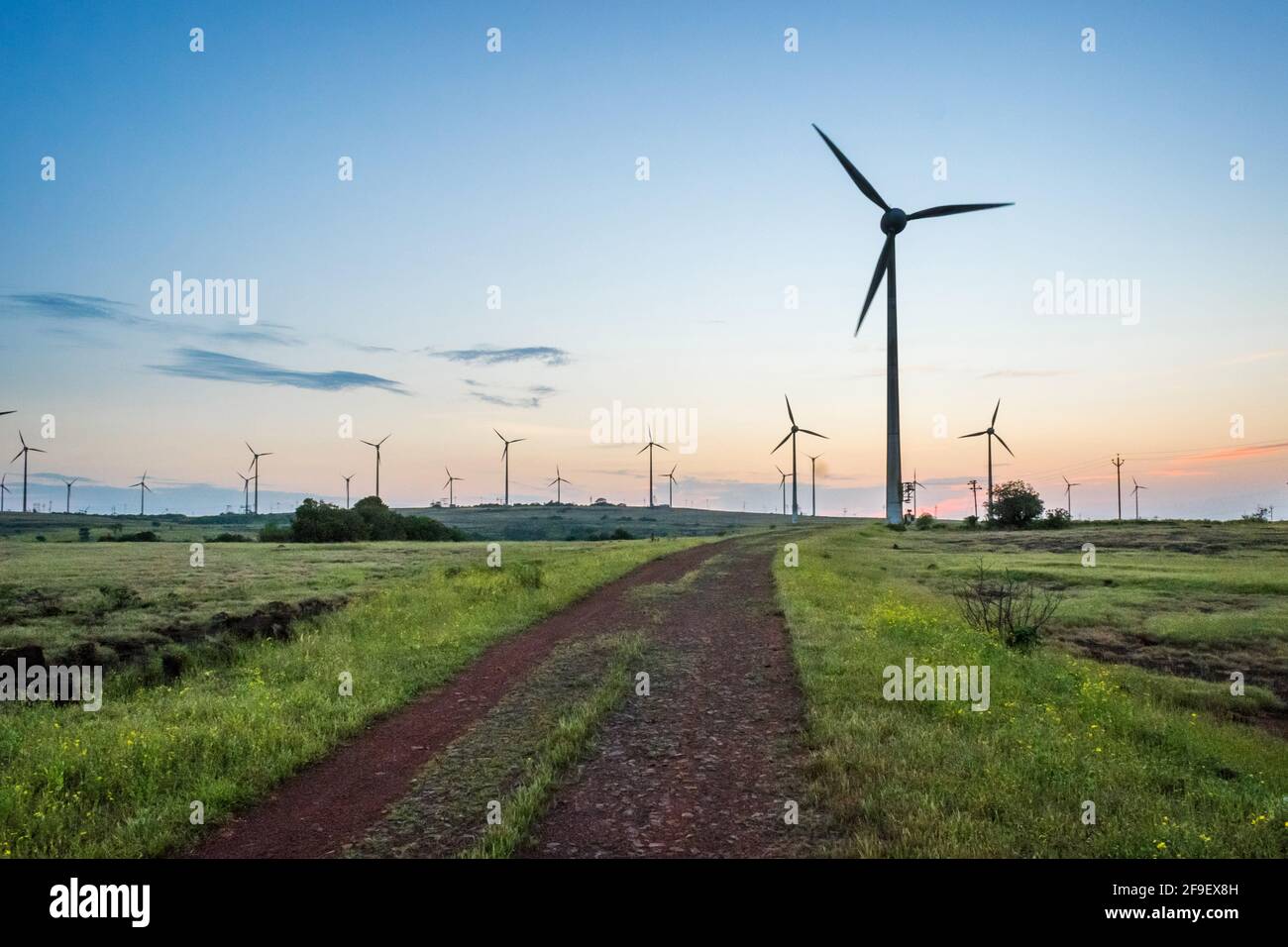A beautiful view of the windmills of Chalkewadi (in Maharashtra, India ...