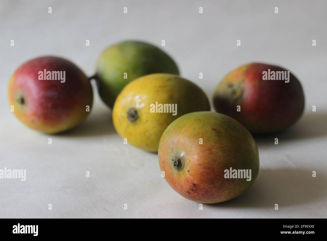 Colourful ripe Indian mango called Lalbagh mango. Shot on white ...