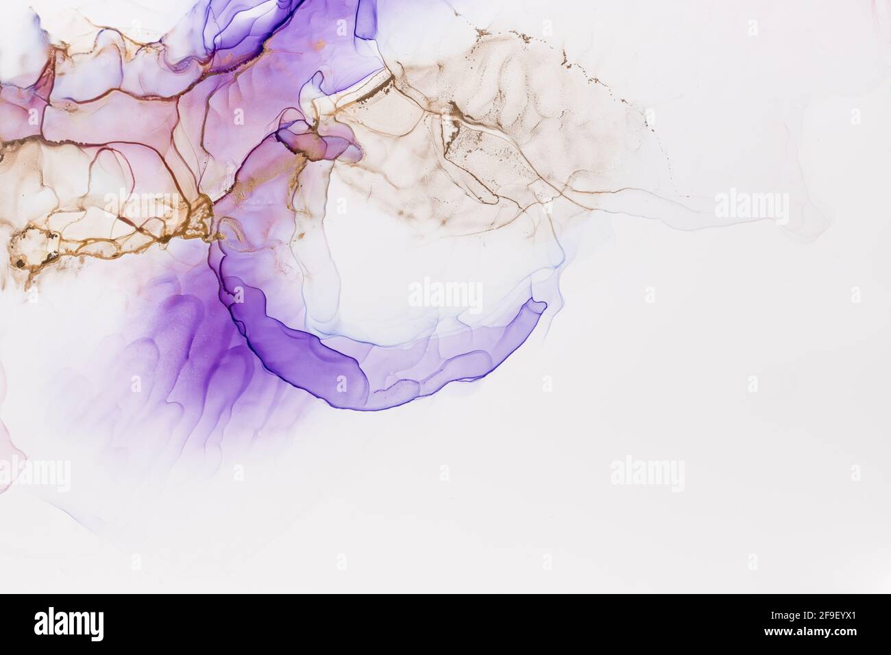 Abstract fluid purple pattern. Alcohol ink background Stock Photo - Alamy