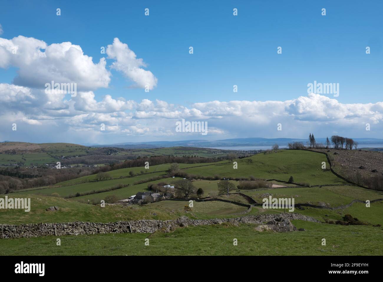 Morecambe bay field hi-res stock photography and images - Alamy