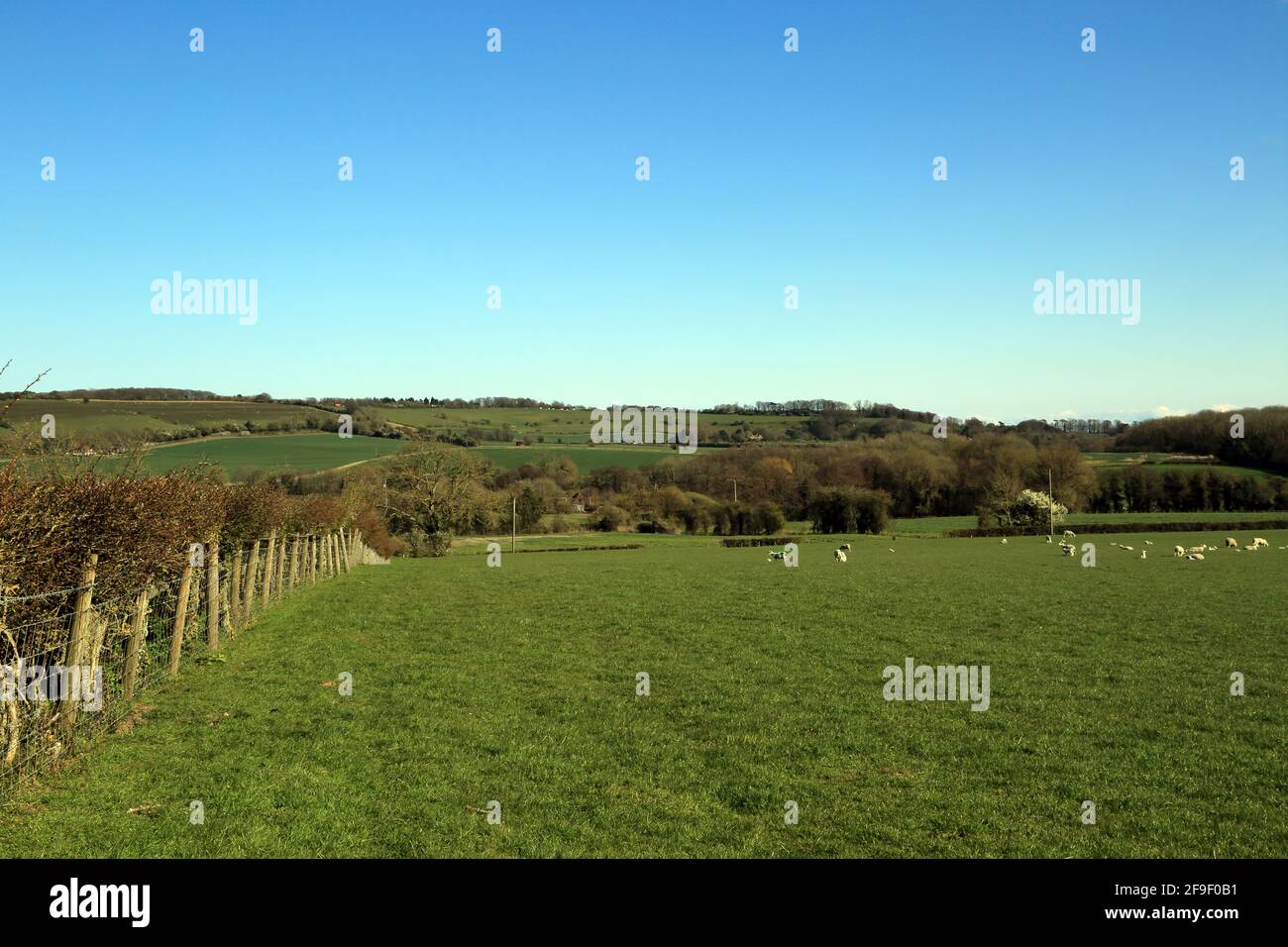 Field looking towards Fidling Lane and North Downs above Stowting, Kent ...