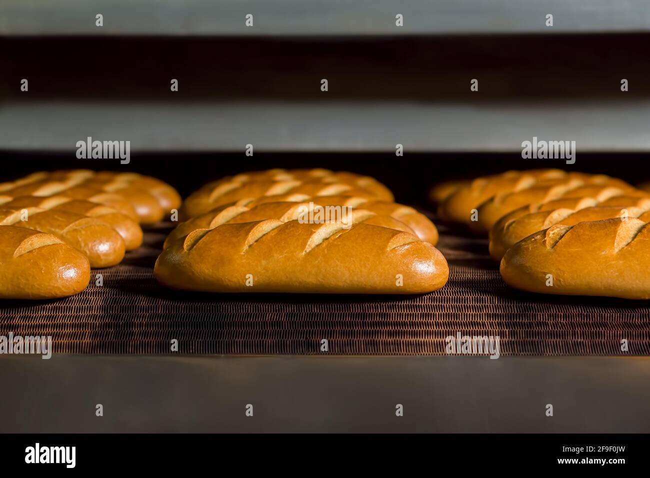 Loaves of bread on the production line in the bakery Stock Photo - Alamy