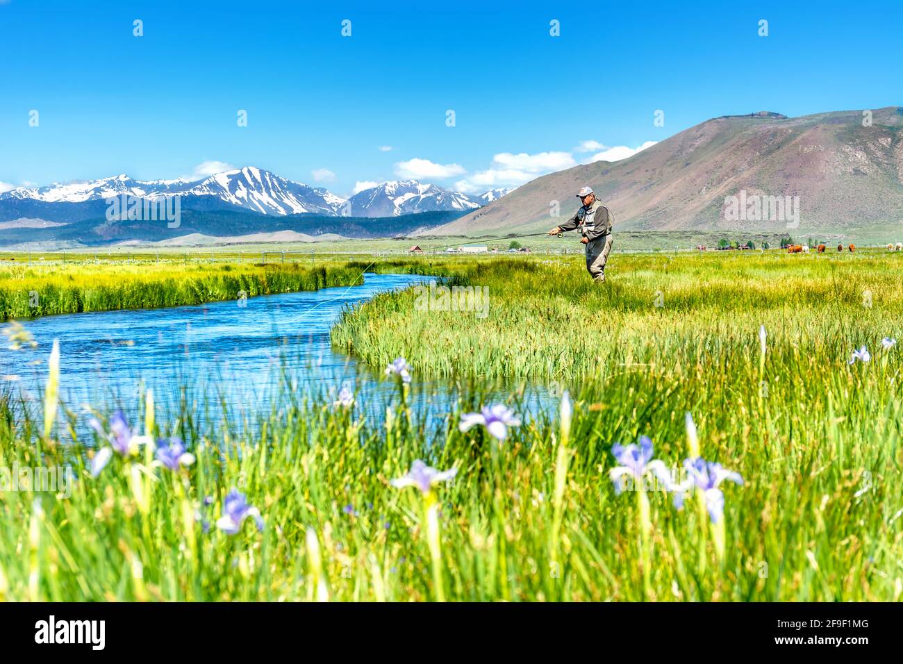 Point Reyes National Seashore Stock Photo - Alamy