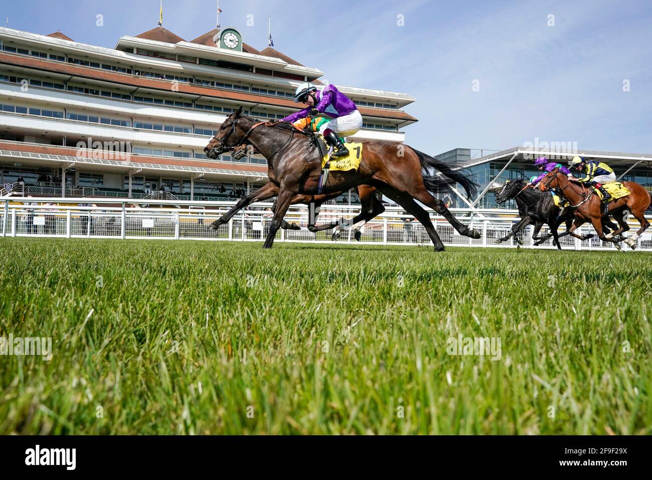 Oisin Murphy riding Alcohol Free (purple) coming home to win the Dubai ...