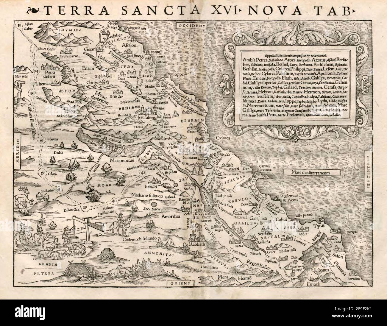 Beautiful vintage hand drawn map illustration of Hollyd Lan from ...