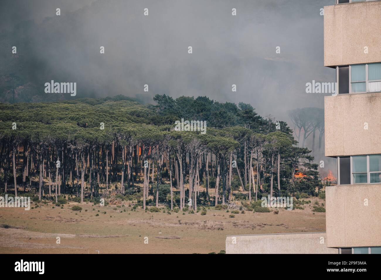 Wildfire rages through pine forest on Table Mountain near Rhodes ...