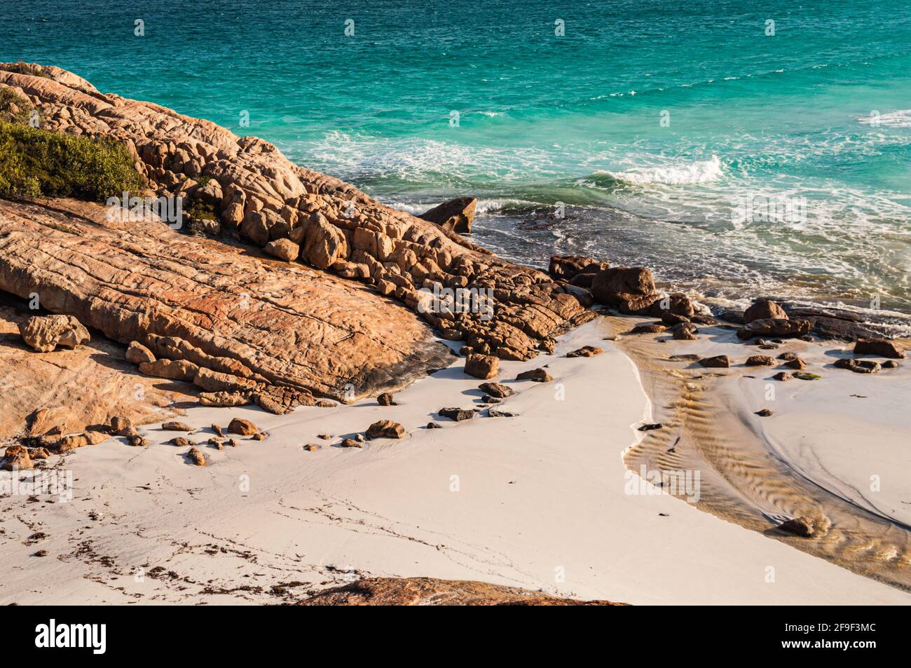 Sand thistle hi-res stock photography and images - Alamy
