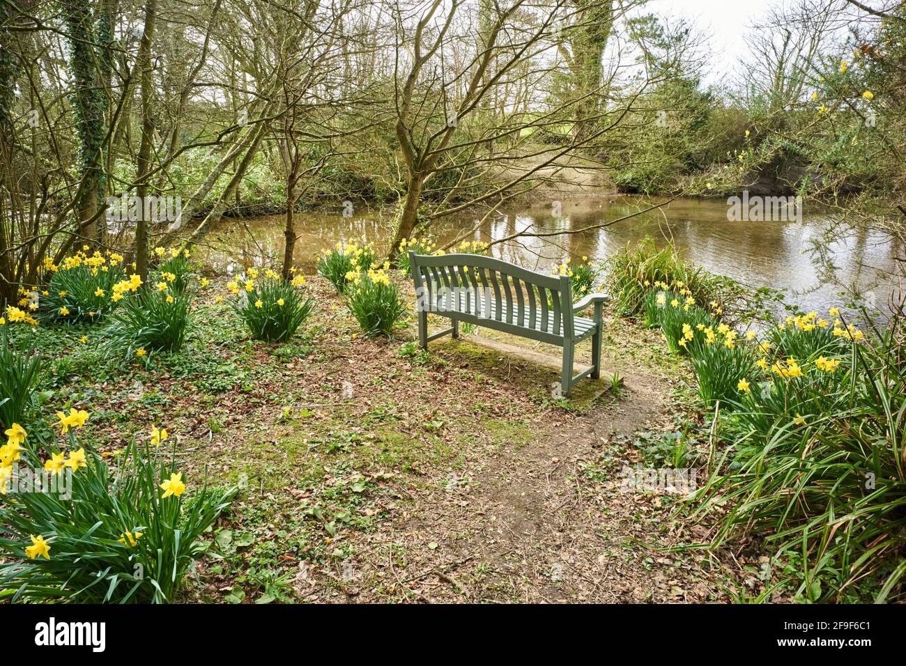 Type of seat hi-res stock photography and images - Alamy
