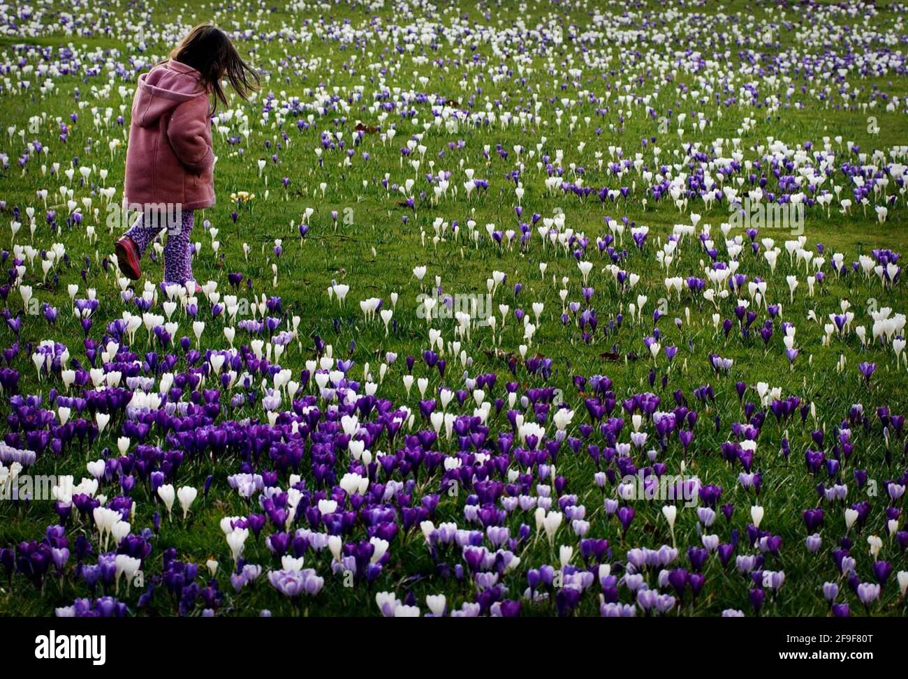 SPRING IN KEW GARDENS.6/3/03 PILSTON Stock Photo - Alamy