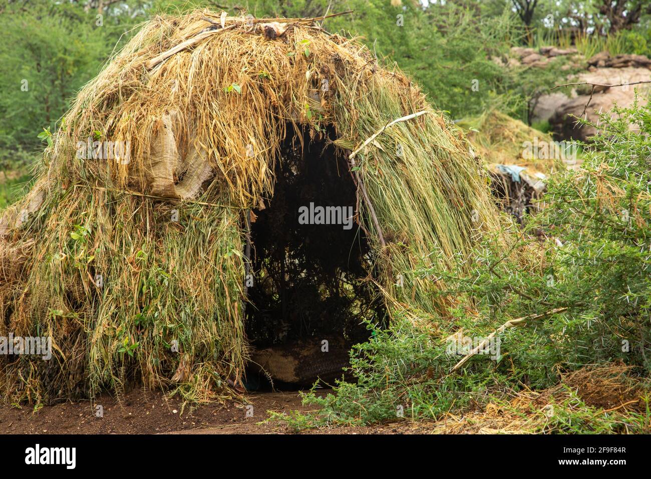 Straw Thatched huts in a Hadza Tribe village, Lake Eyasi, Tanzania ...
