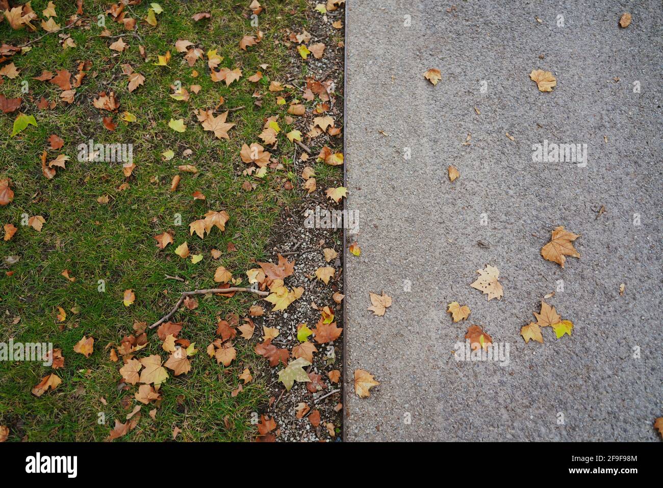 A beautiful autumnal background - fallen trees on the split ground with ...