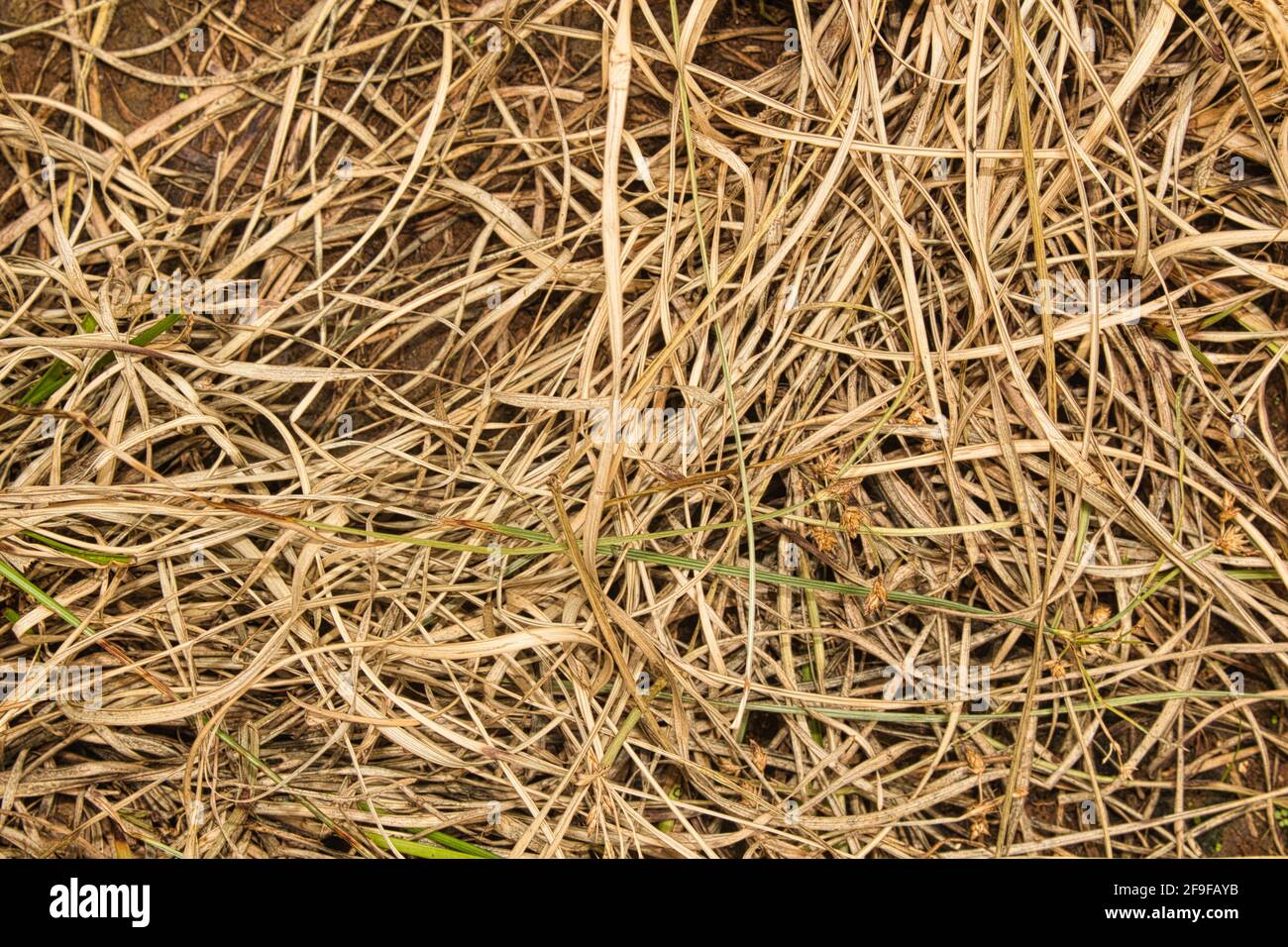 Grass straw heap hi-res stock photography and images - Alamy