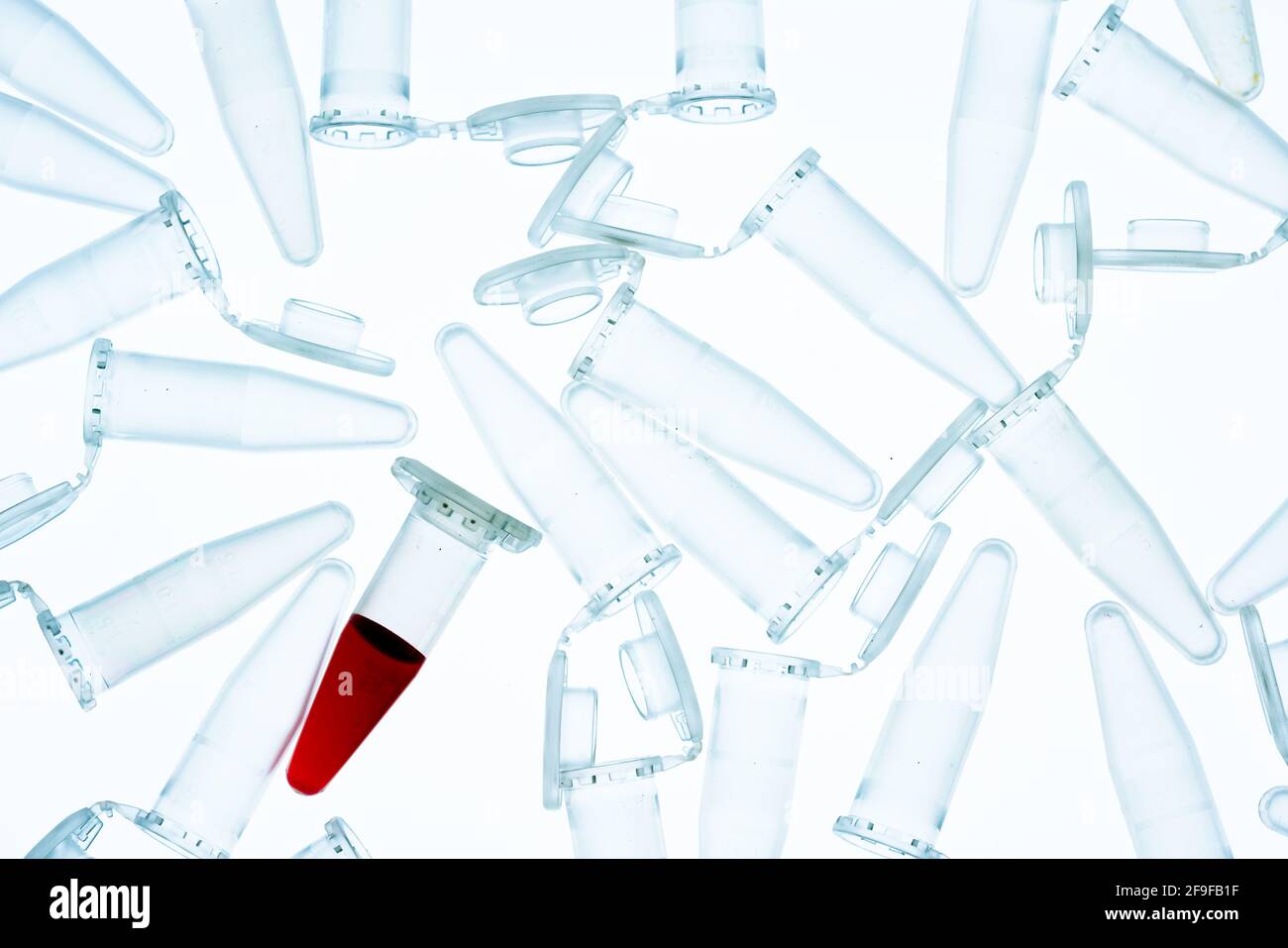 PCR microtube on a white background, PCR test tube on a white ...