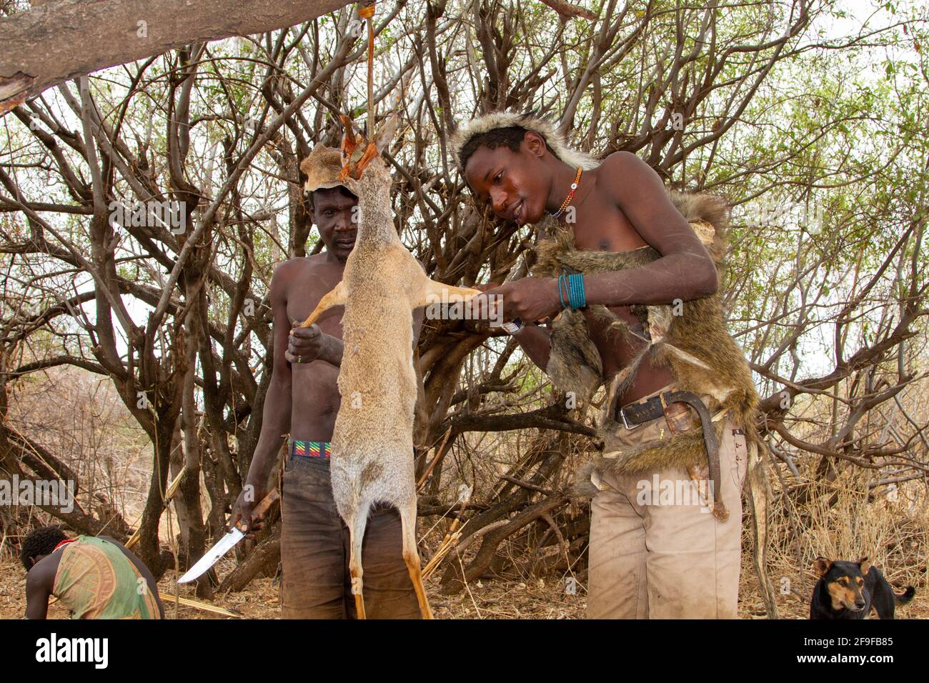 Hunter gatherer bow hadzabe tribe hi-res stock photography and images ...