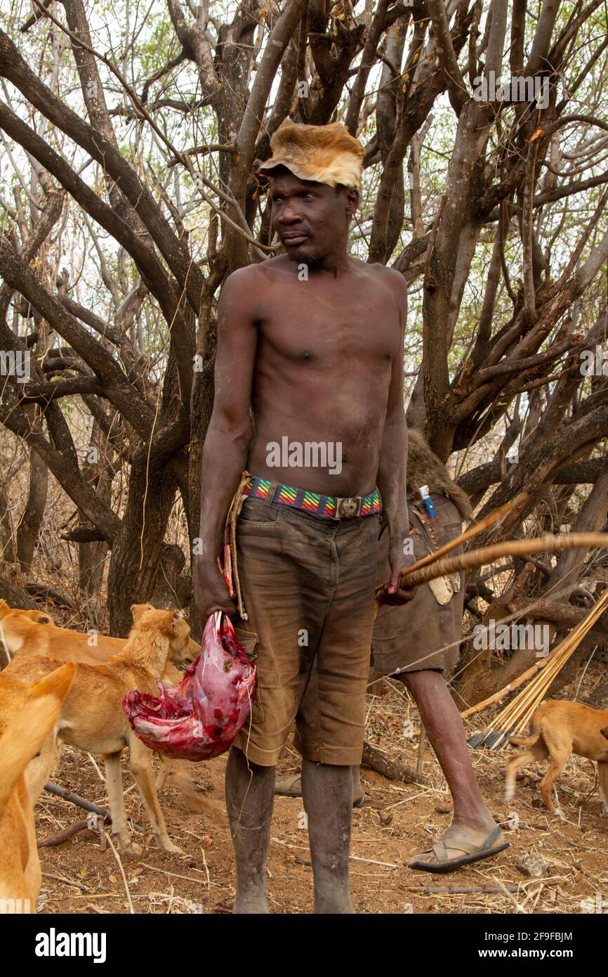 Hunter gatherer bow hadzabe tribe hi-res stock photography and images ...