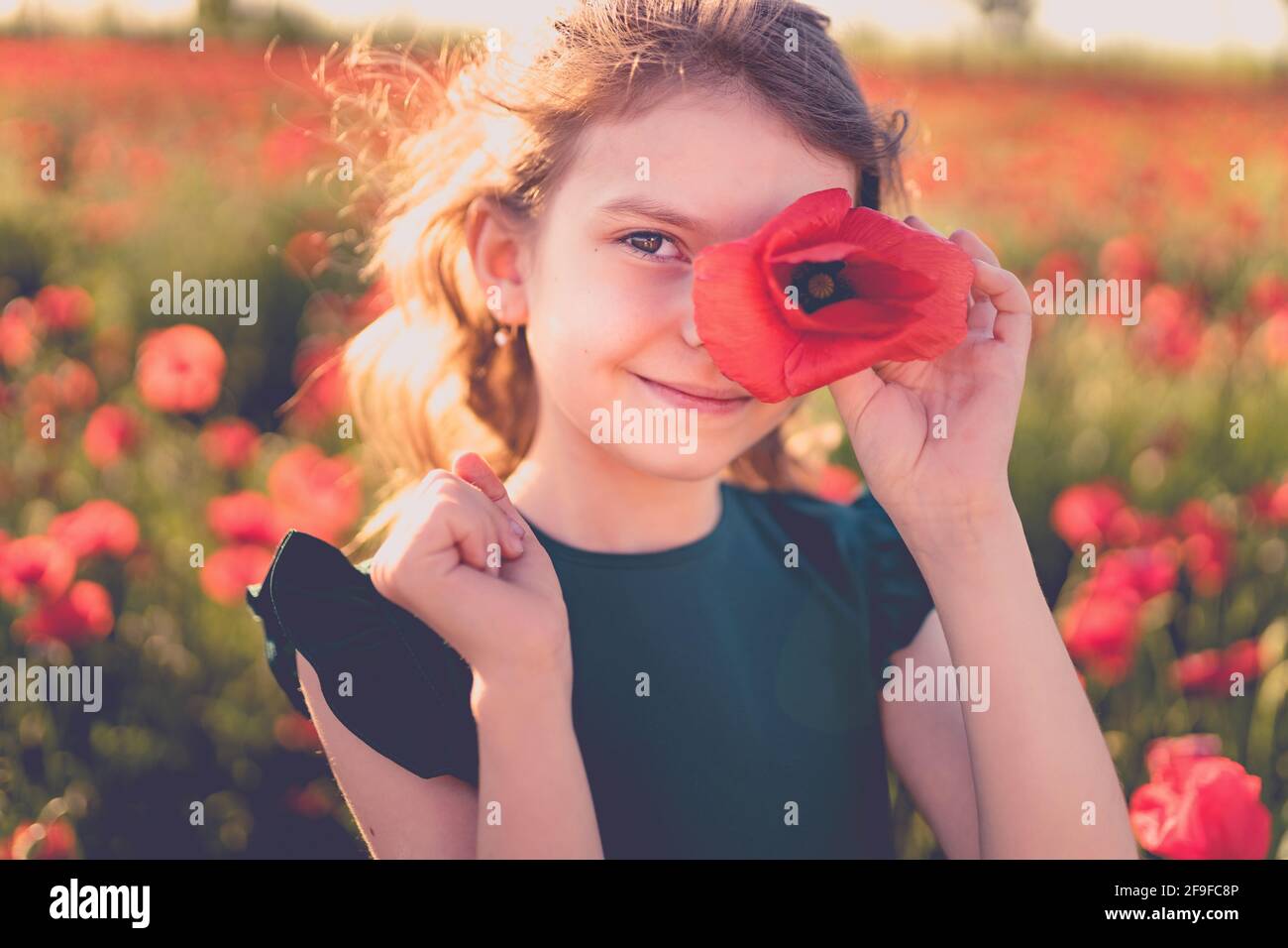 beautiful girl in poppy field enjoys the beauty and aromas Stock Photo ...