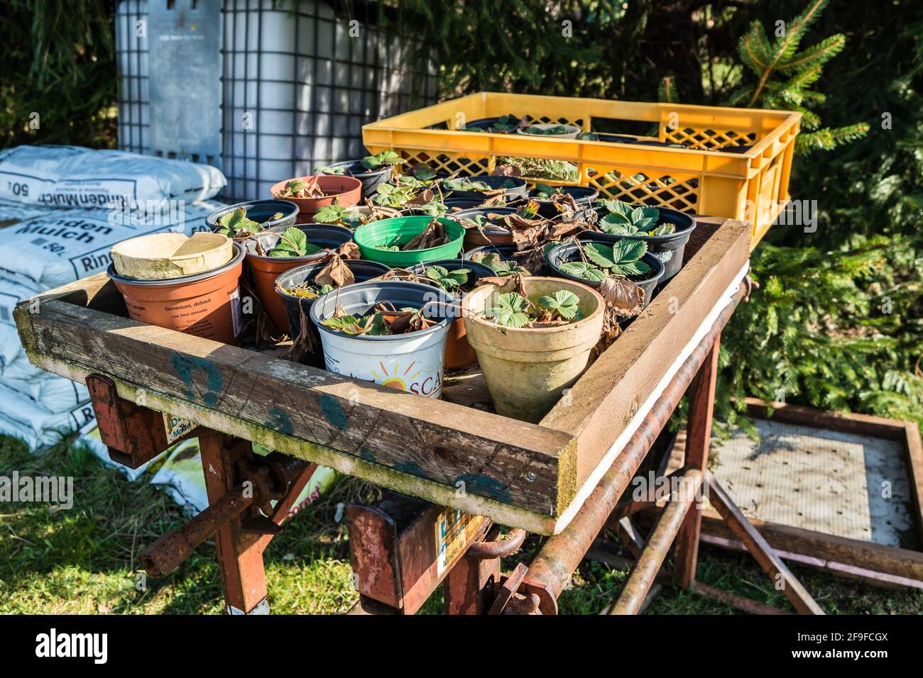 GDR washing water tank in a fabric Stock Photo - Alamy