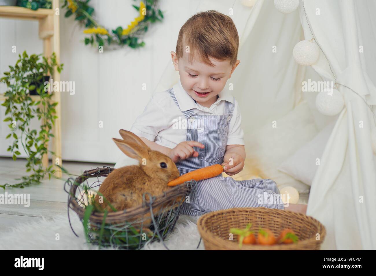 Happy laughing little boy playing with a baby rabbit, feeding it Stock ...