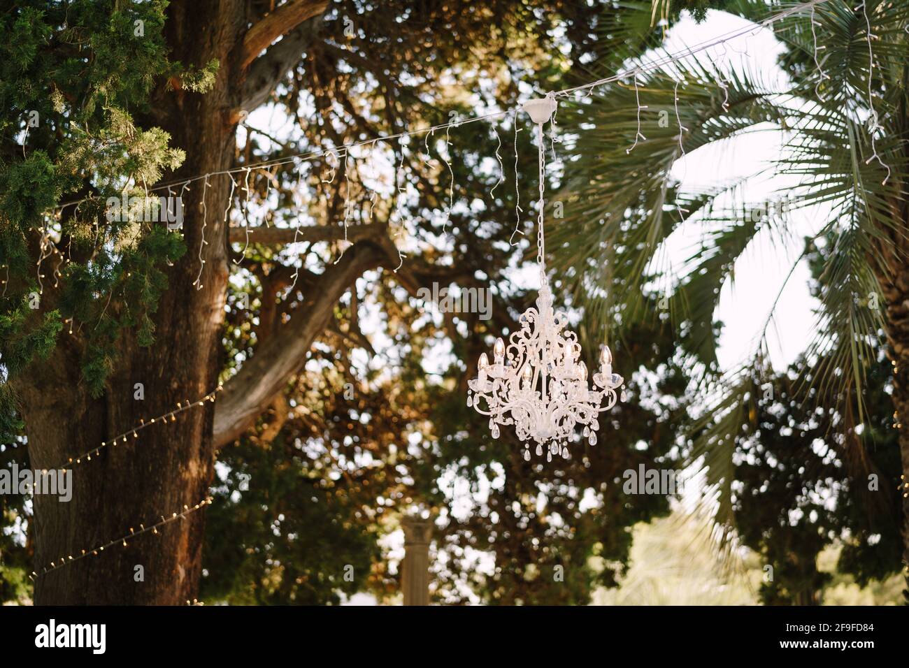 A crystal chandelier and a garland hang from a tree. Wedding ...