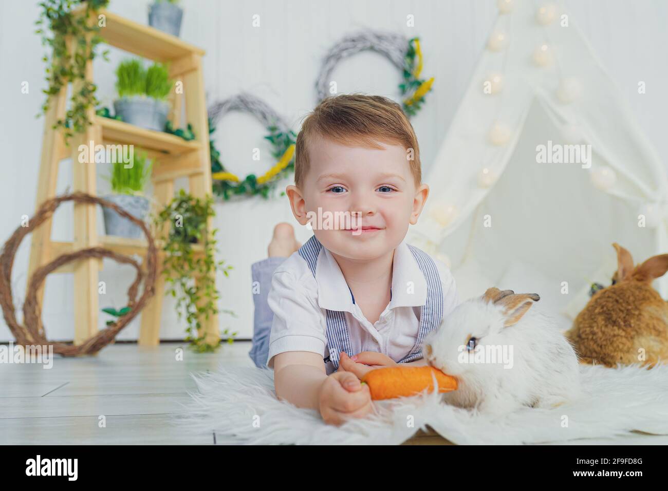 Happy laughing little boy playing with a baby rabbit, feeding it Stock ...