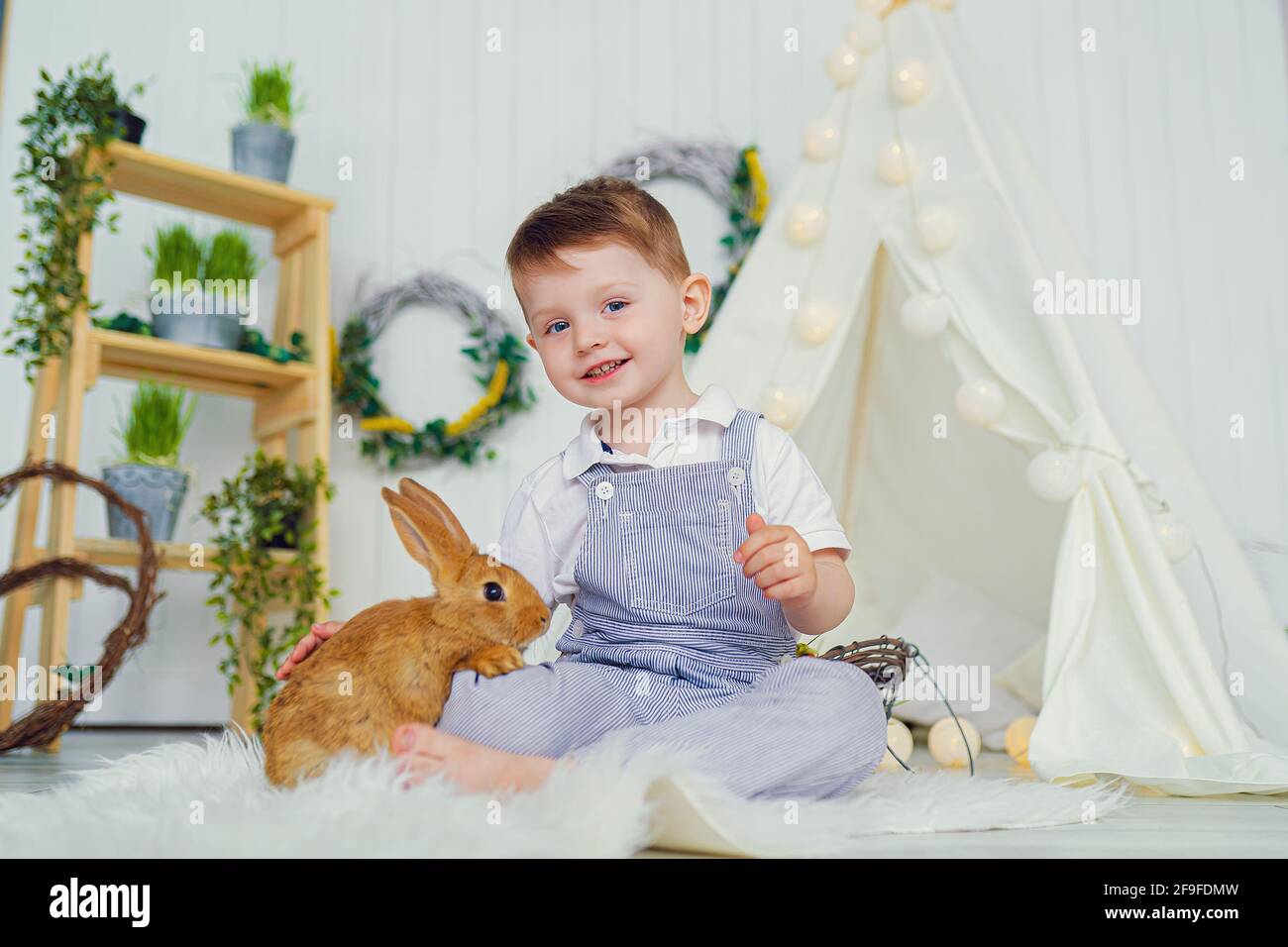 Happy laughing little boy playing with a baby rabbit, feeding it Stock ...