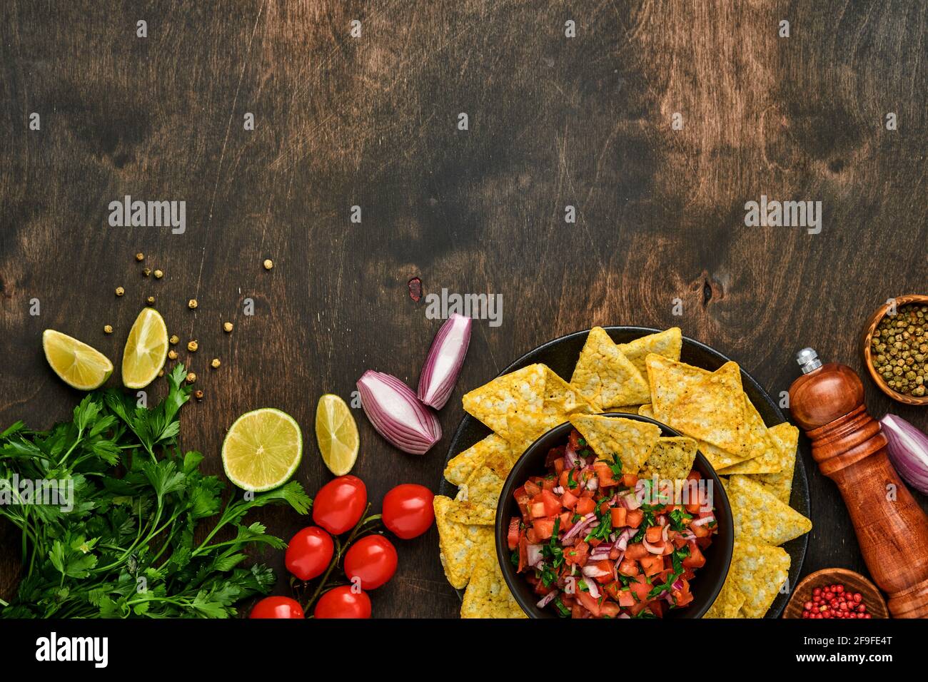 Traditional Mexican tomato sauce salsa with nachos and ingredients ...