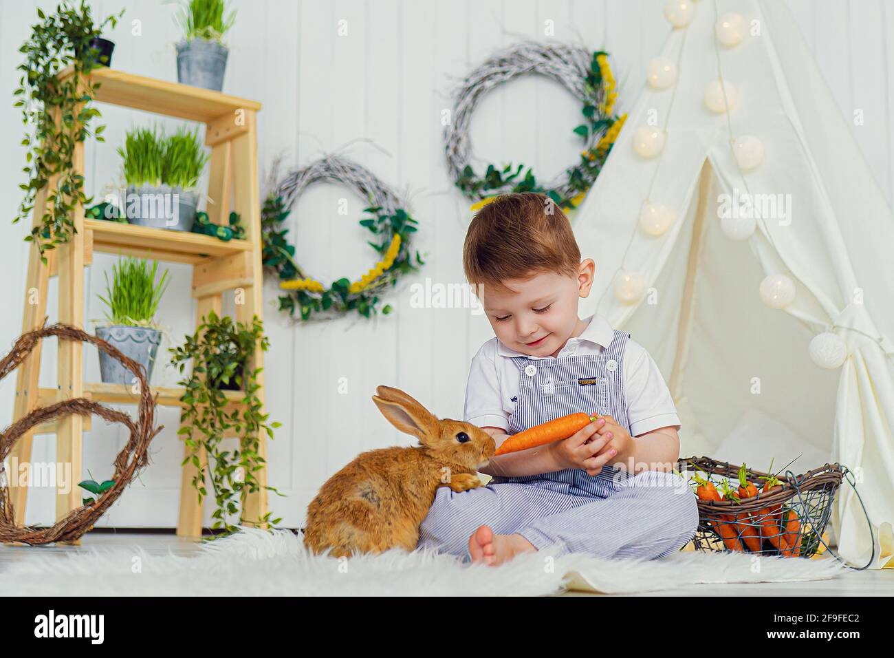 Happy laughing little boy playing with a baby rabbit, feeding it Stock ...