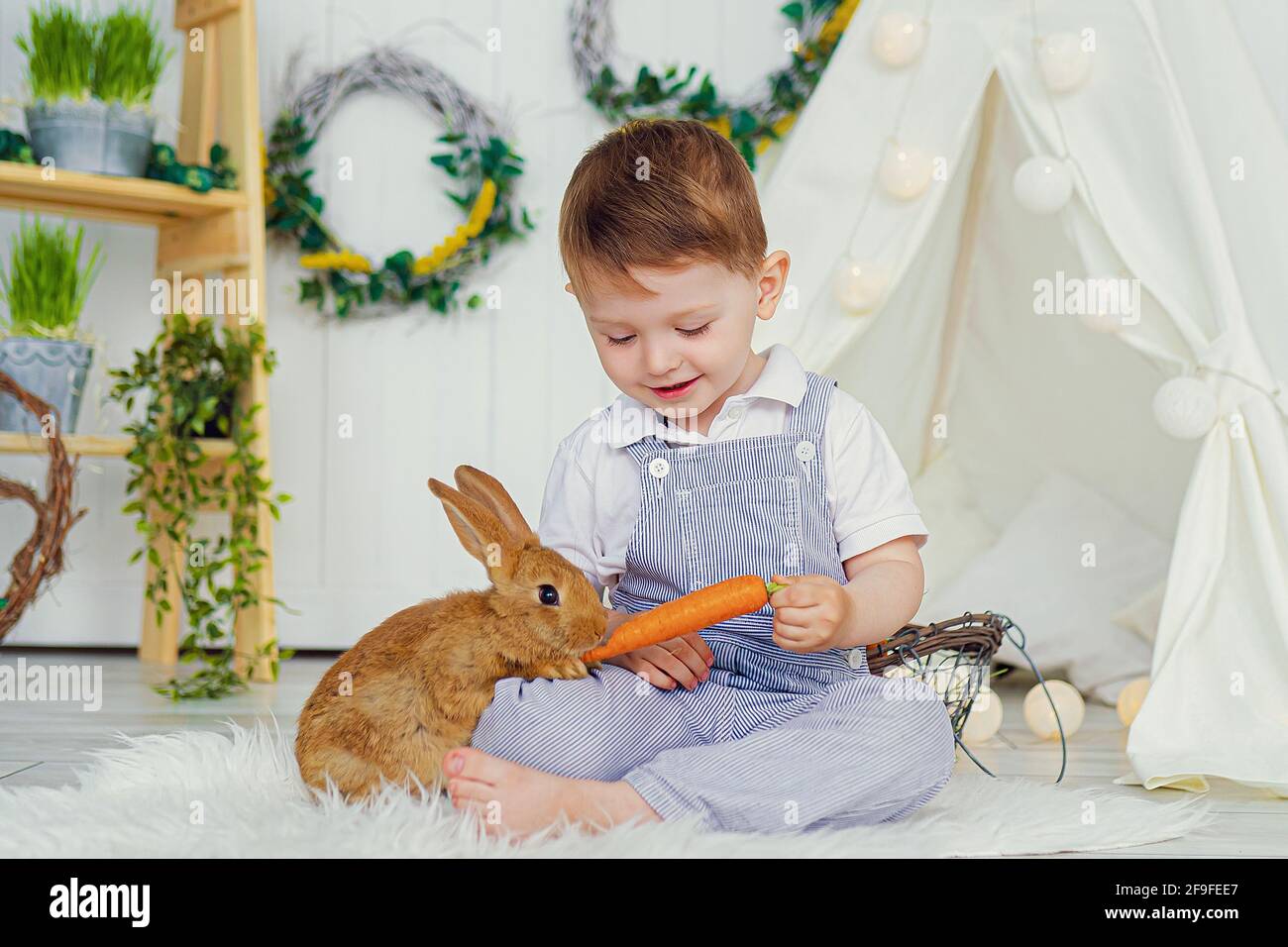 Happy laughing little boy playing with a baby rabbit, feeding it Stock ...
