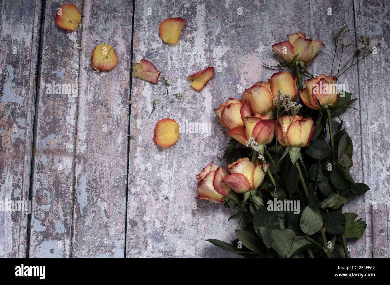 Rustic roses hi-res stock photography and images - Alamy