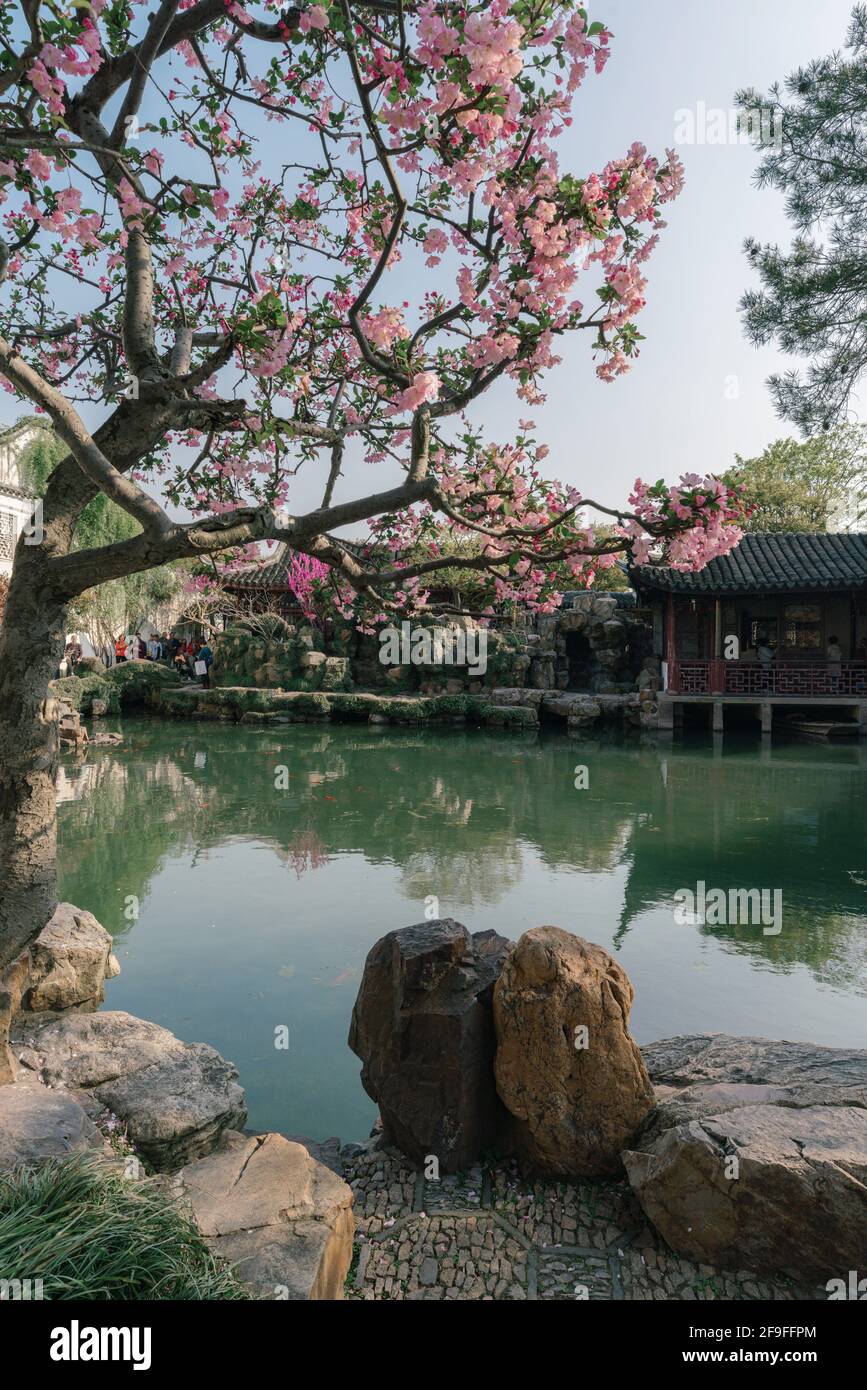 Landscape and buildings in Master of the Nets Garden, a classical ...