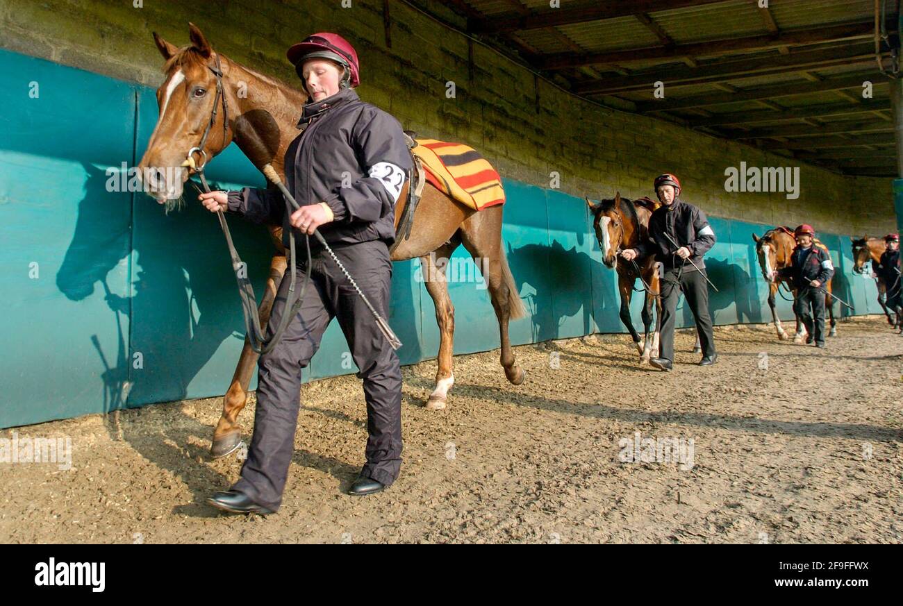 BALLYDOYLE STABLES IN IRELAND GOLDFINGER 25/4/2005 PICTURE DAVID ...