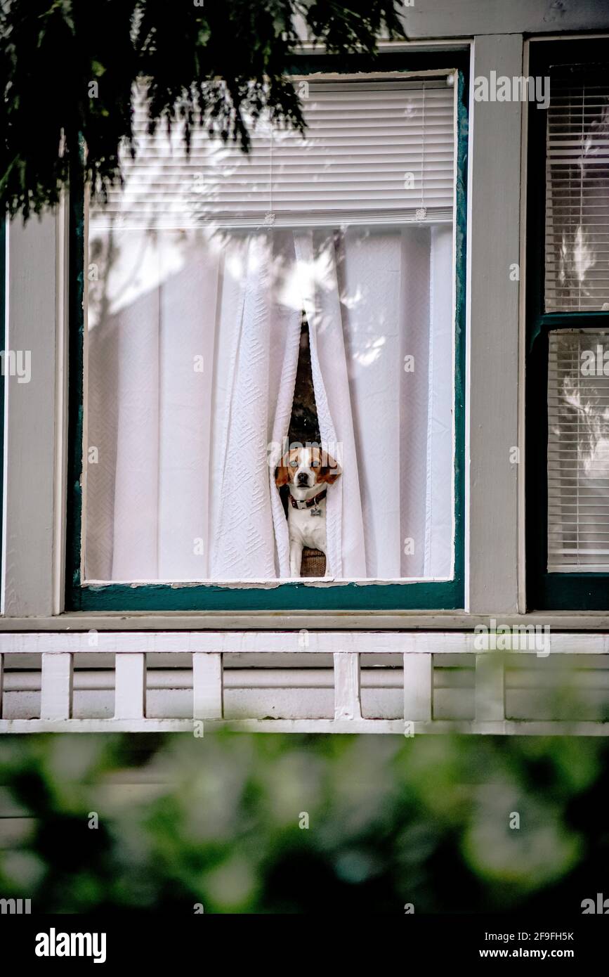 Sneaking shot hi-res stock photography and images - Alamy