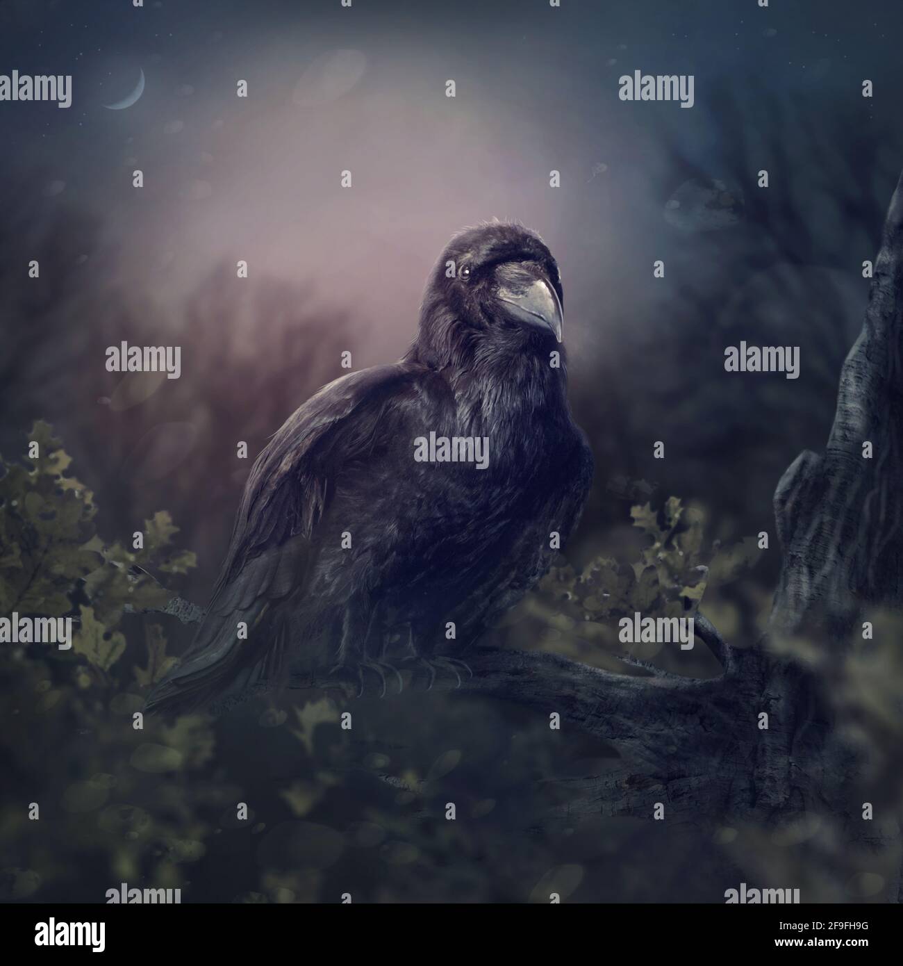 Enchanted night sky hi-res stock photography and images - Alamy