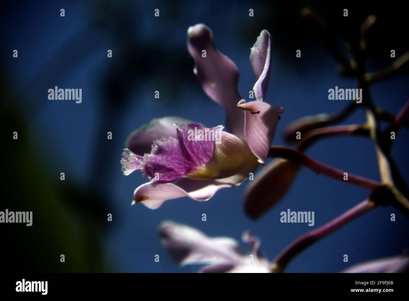 Valencia, Carabobo, Venezuela. 18th Apr, 2021. April 18, 2021. The ...