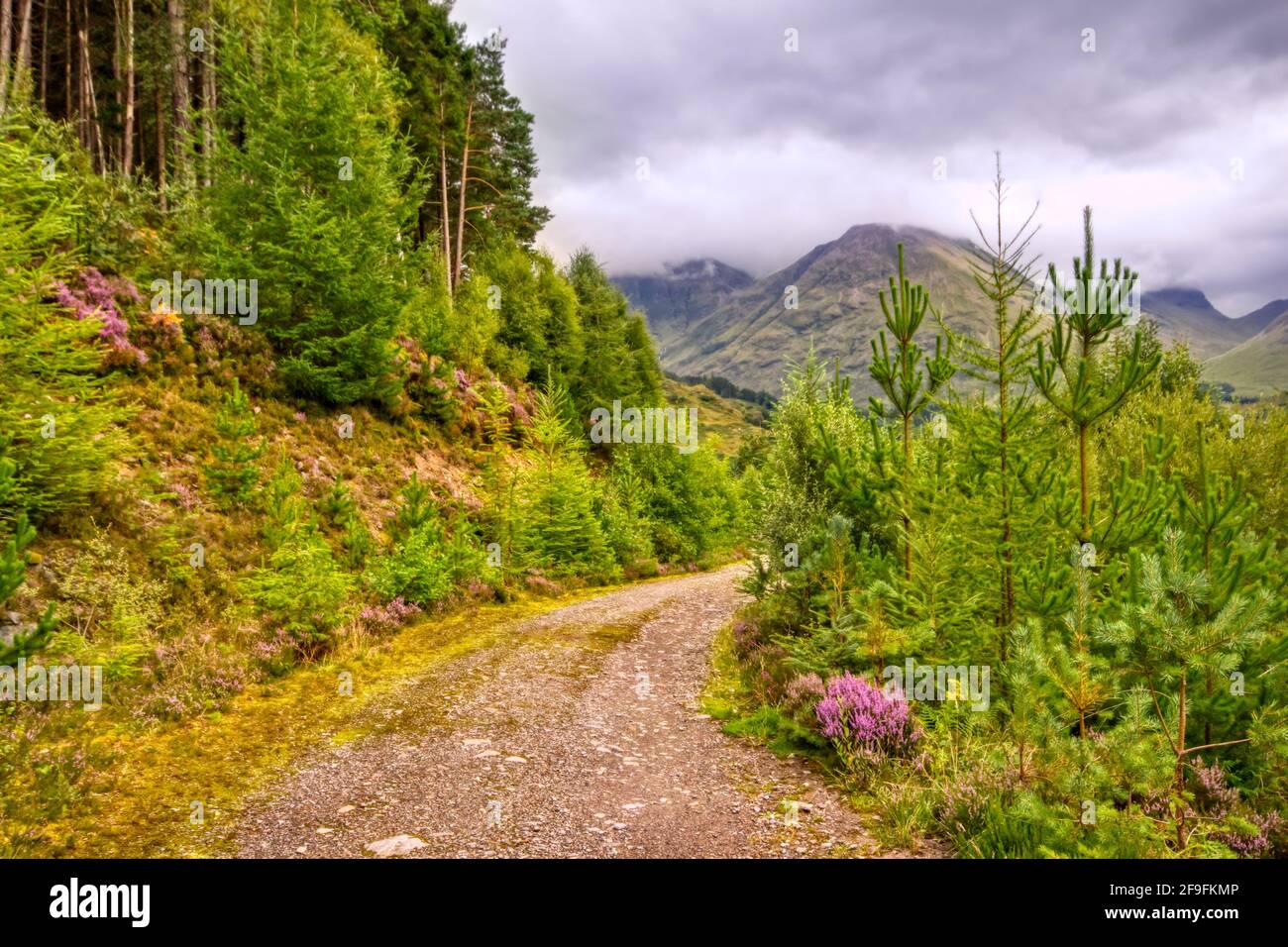 Hill Walks in Glencoe Stock Photo - Alamy