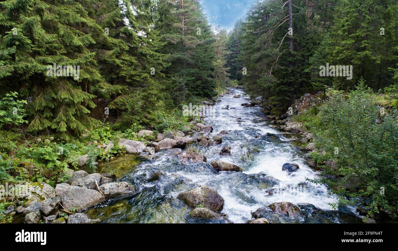 Bulgaria, the Rila Mountain, the Beli Iskar River, the Beli Iskar Eco ...